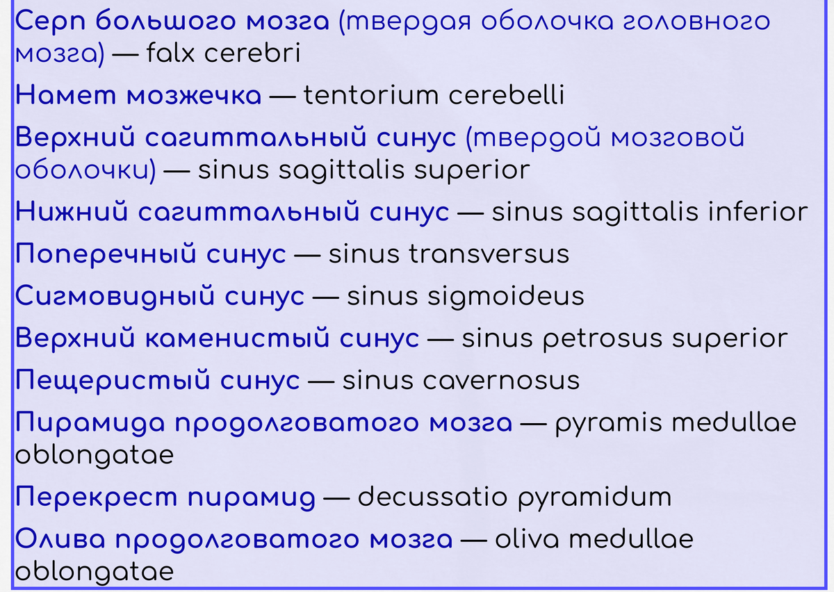 Центральная нервная система. Записи блога