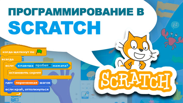 программирование для дошкольников - Scratch level 2